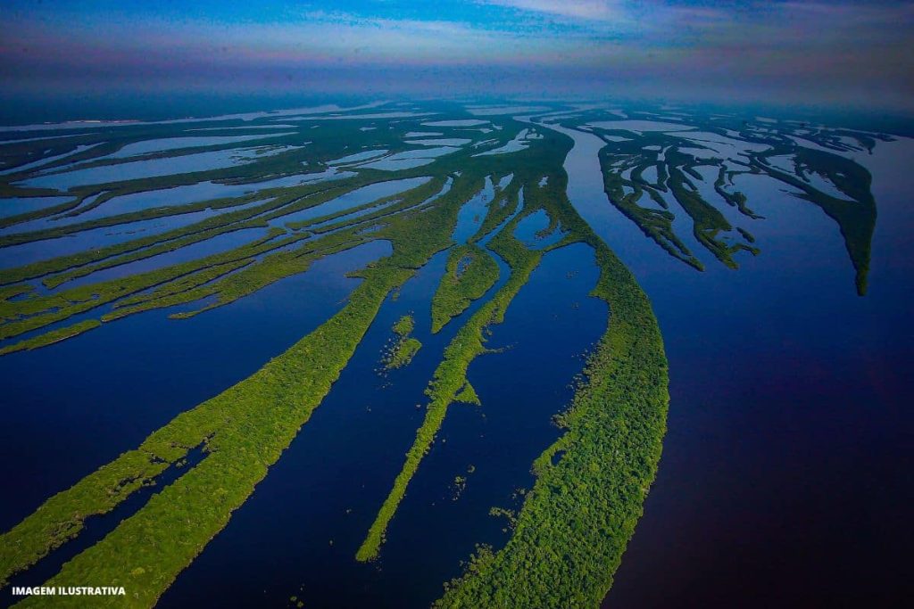 A foz do Amazonas na Semana Mundial do Meio Ambiente. Por Roberto ...